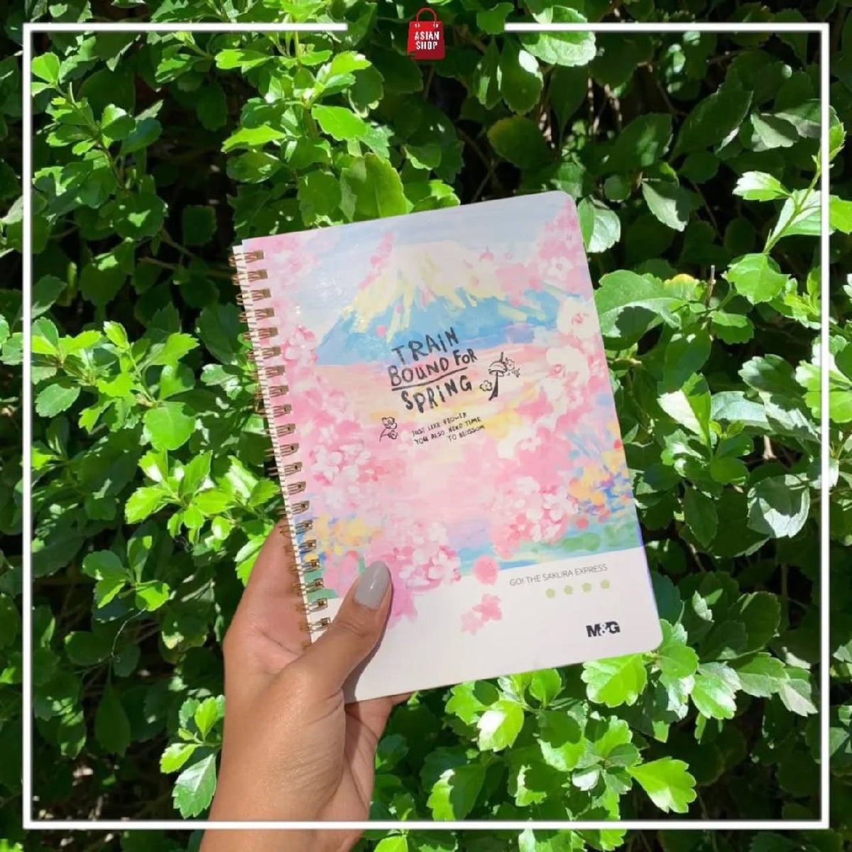 Sakura Notebook spirale – Asianshop Maroc
